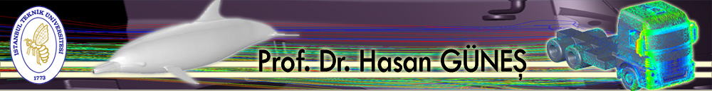 Prof.Dr. Hasan Güneş - Istanbul Technical University
